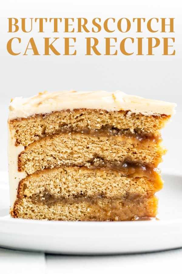 Butterscotch Cake Recipe - Handle the Heat