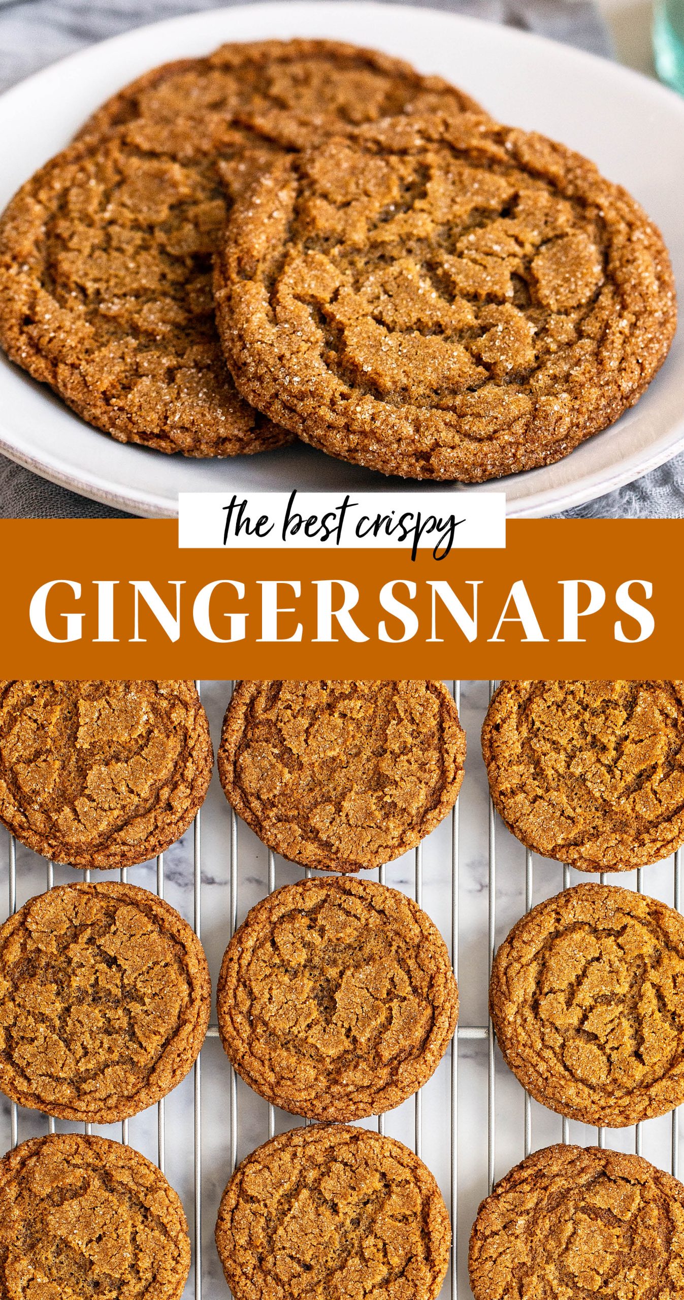 Crispy Gingersnaps | Ginger Snap Cookie Recipe - Handle the Heat