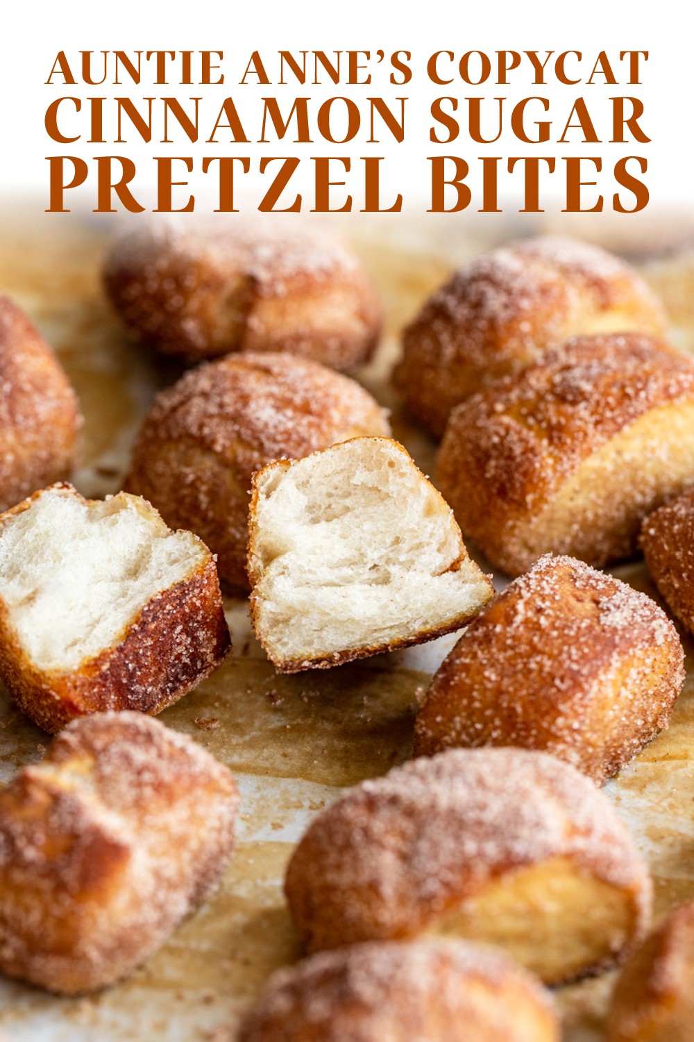 Homemade Cinnamon Sugar Pretzel Bites - Handle the Heat