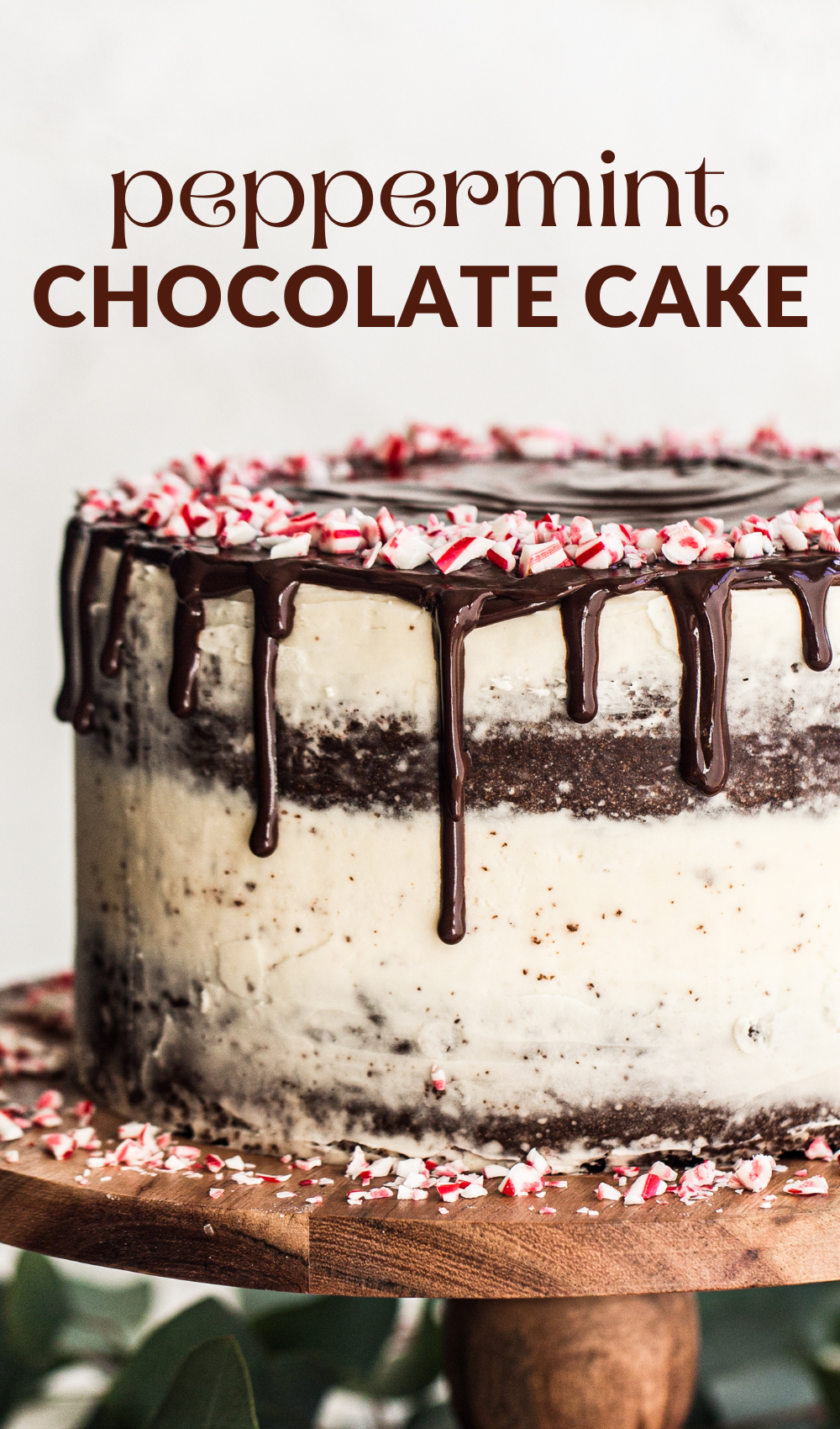 Peppermint Chocolate Cake - Handle the Heat