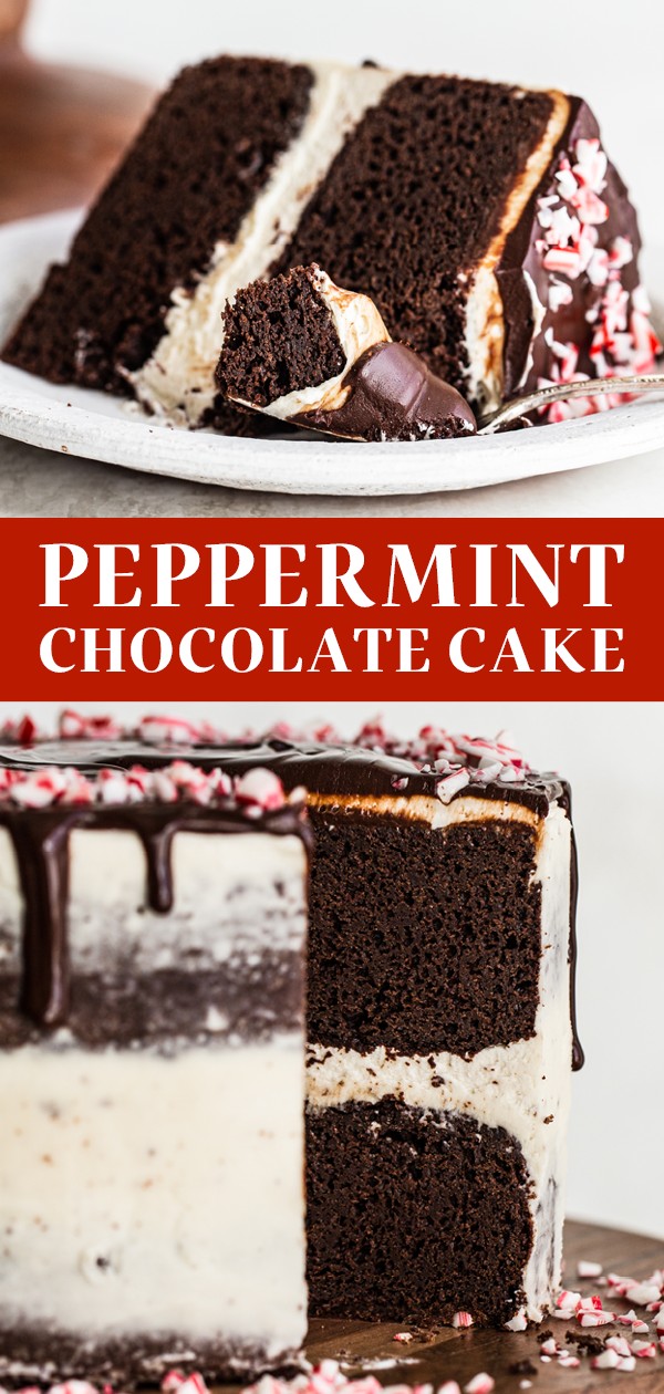 Peppermint Chocolate Cake - Handle the Heat