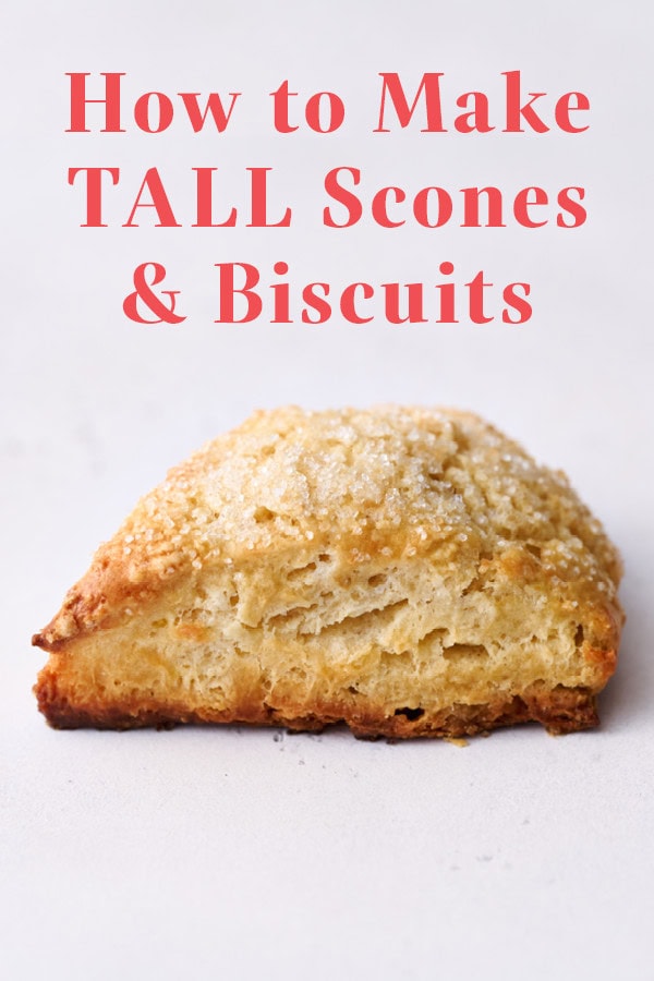 How to Make TALL Scones & Biscuits