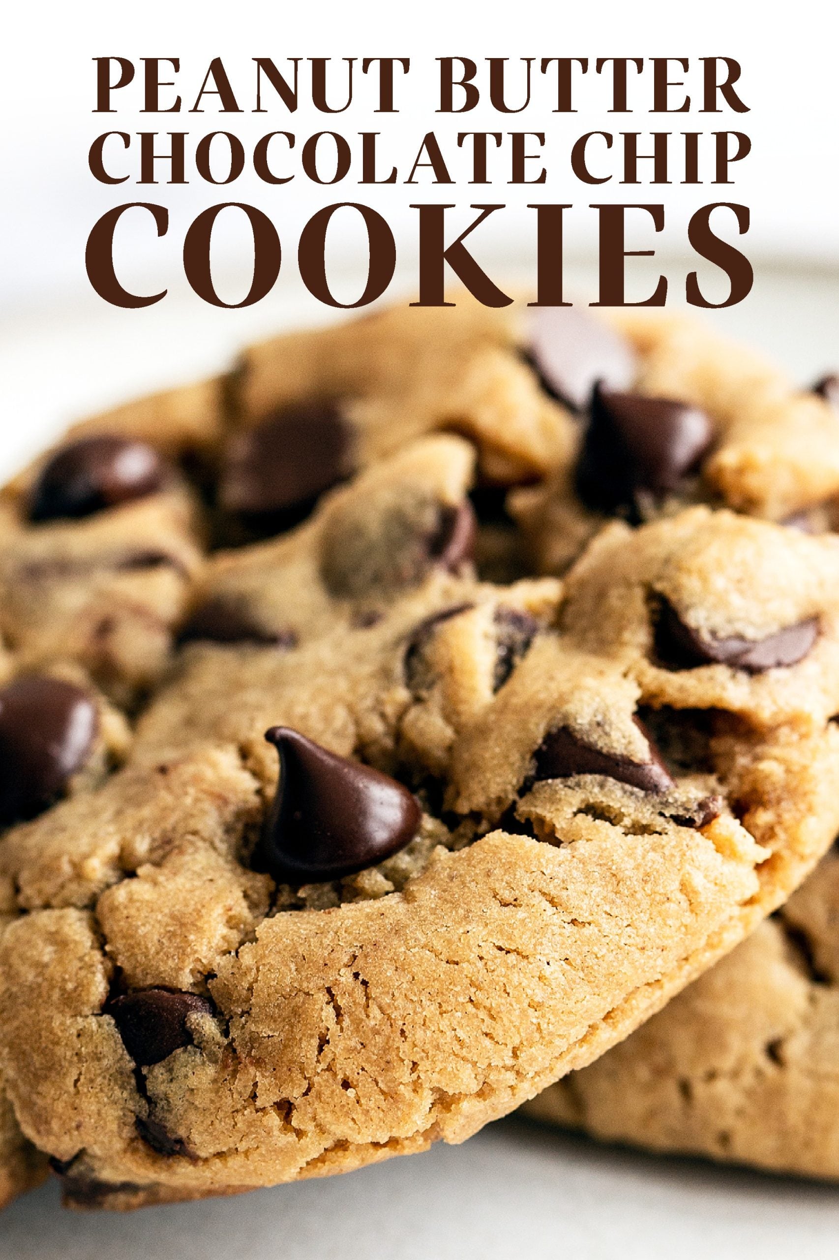 Peanut Butter Chocolate Chip Cookies - Handle the Heat