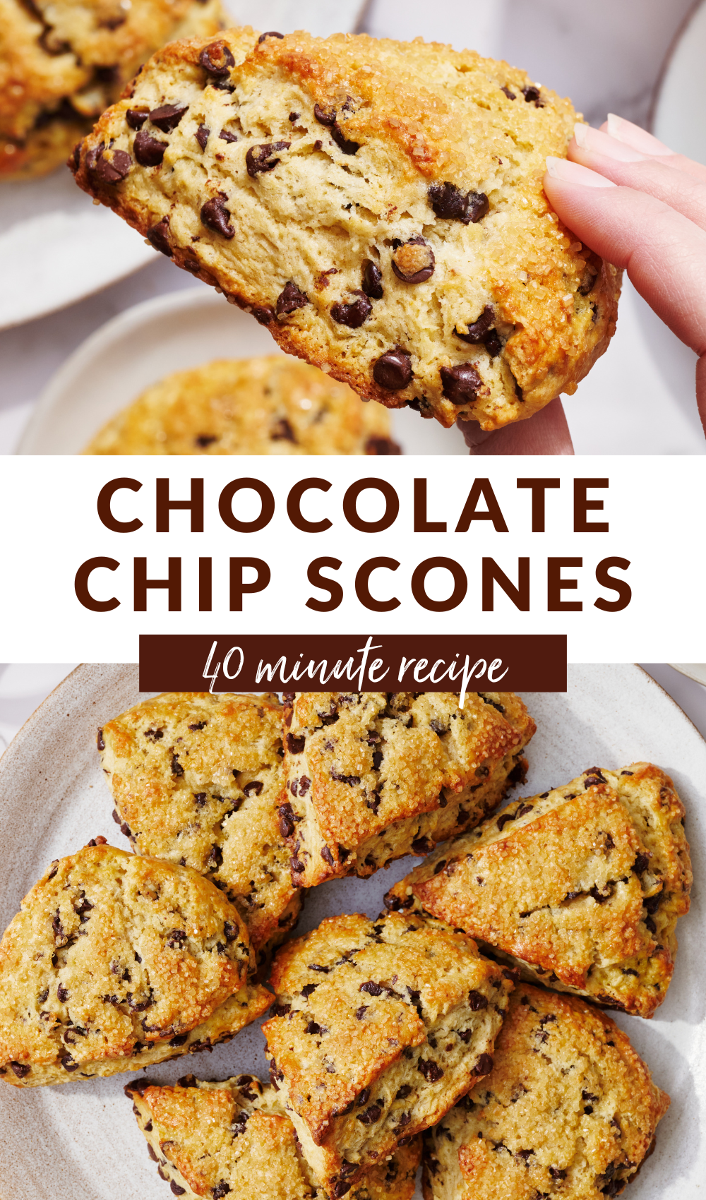 Chocolate Chip Scones