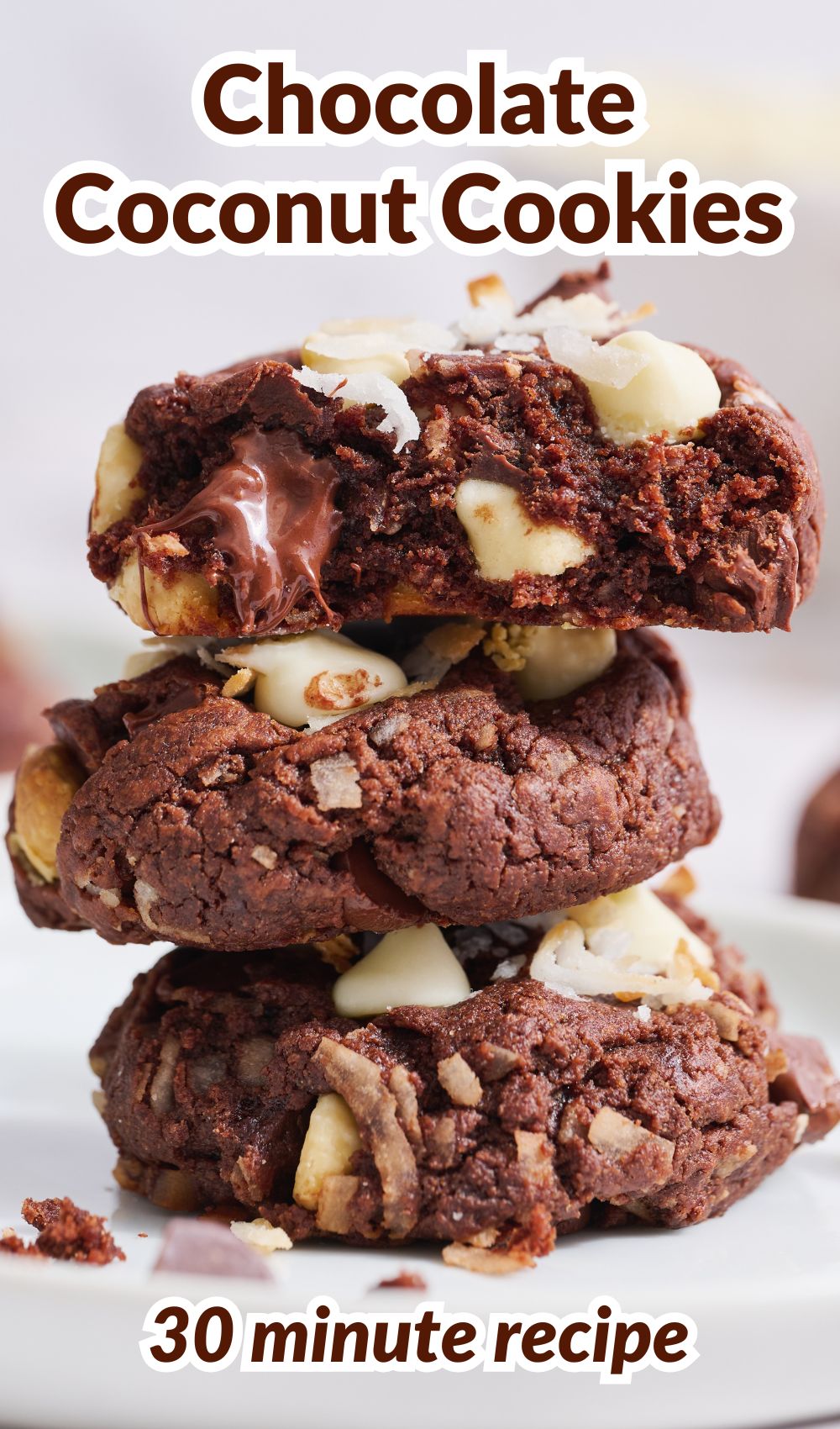 Chocolate Coconut Cookies
