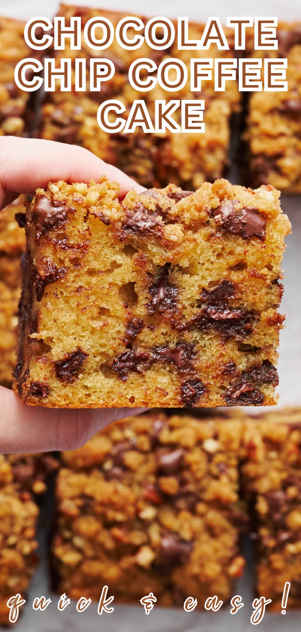 Chocolate Chip Coffee Cake - Handle the Heat